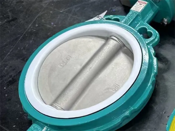 Wafer Butterfly Valve,Corrosion Resistant Check Valve,Duplex Stainless ...
